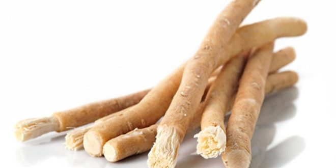 Virtues of Using the Miswaak – Ihyaaud Deen