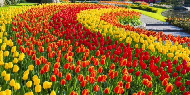 The Key to Jannah – The Orchards of Love – Part Eight – Ihyaaud Deen